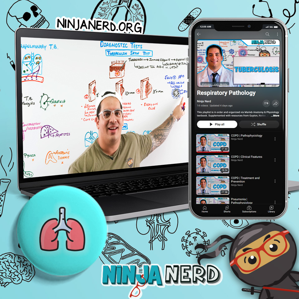 What's New - Ninja Nerd